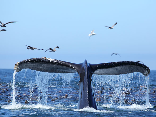 Spindrift Inn - Boutique Waterfront Hotel on Cannery Row, CA